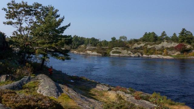 Canoeing Georgian Bay’s French River Delta: Day 2 – Down The Main ...