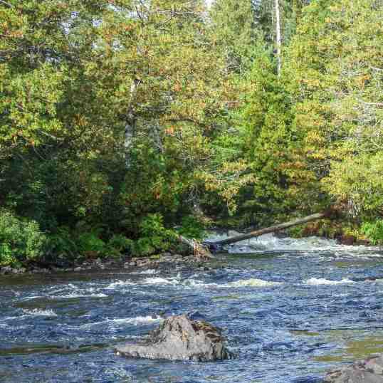 Temagami’s Lady Evelyn River From Top to Bottom: Day 6 – From Below the ...